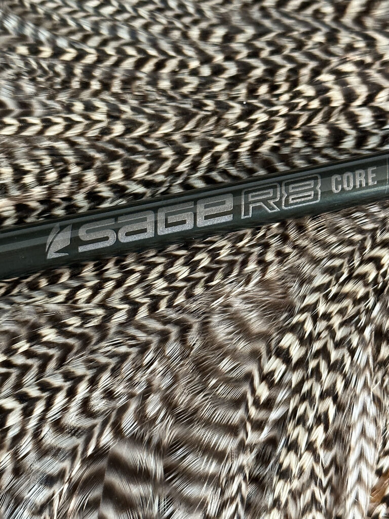 The Sage R8 Core 9' 5wt: One Year Review